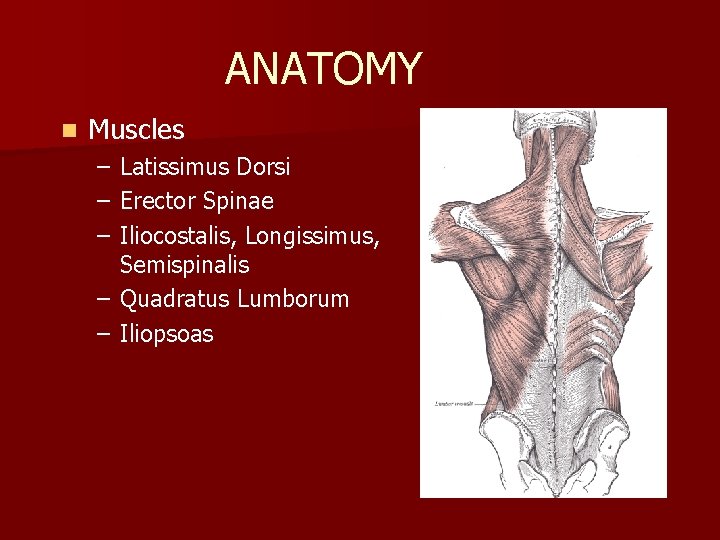 BACK EVALUATION Sara Brown D O Assistant Professor