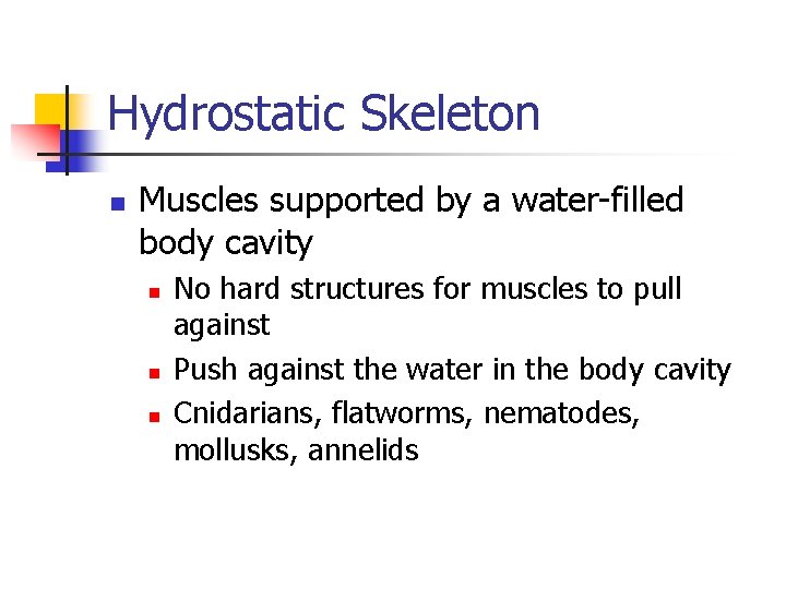 Invertebrates Anatomy and Physiology in Invertebrates Support and