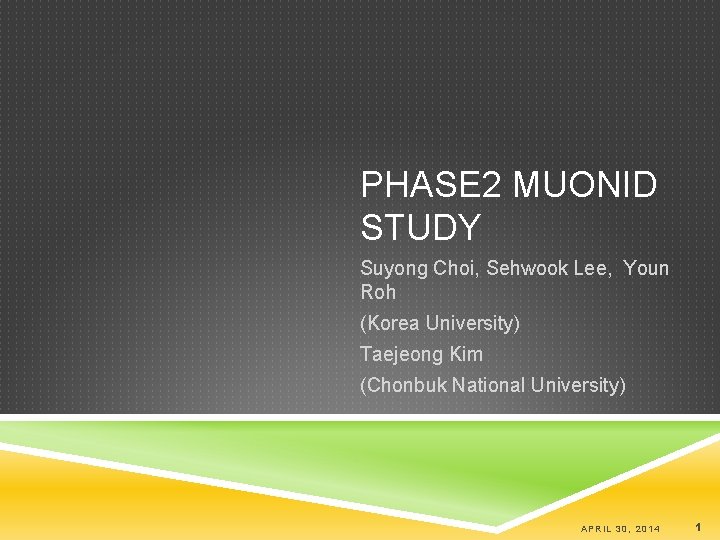 PHASE 2 MUONID STUDY Suyong Choi Sehwook Lee