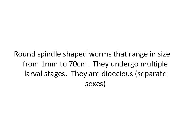 Nematodes Cestodes Trematodes Slackers Facts by Mike Ori