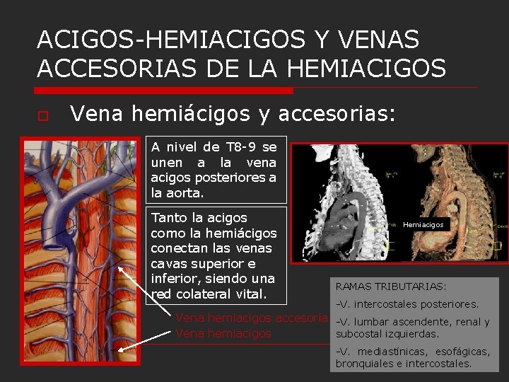 RED VENOSA COLATERAL PRINCIPALES SISTEMAS VENOSO o o