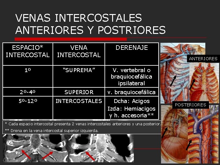 RED VENOSA COLATERAL PRINCIPALES SISTEMAS VENOSO o o