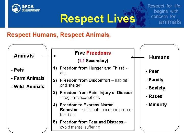 How Humane Education is Applicable to the School