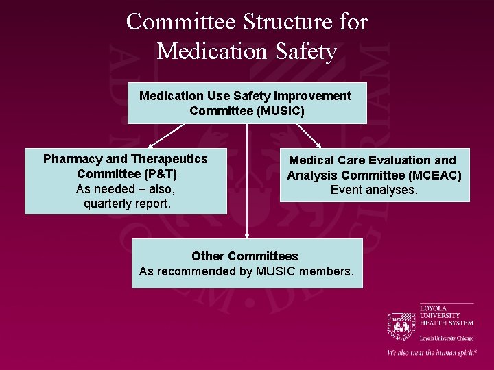 Key Initiatives in Medication Safety at LUHS Kathryn