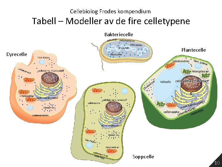 Biologi handler om alt det som er levende