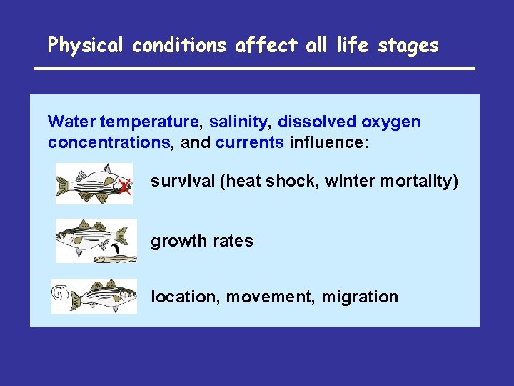 Striped bass scales and life history tales fish