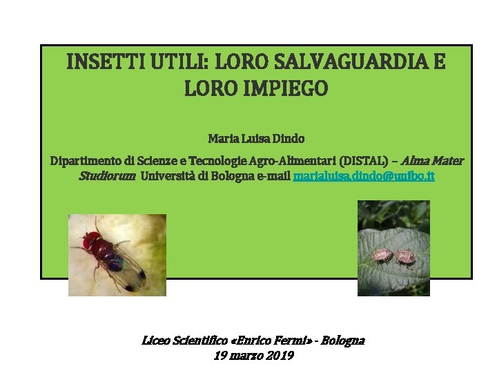 INSETTI UTILI LORO SALVAGUARDIA E LORO IMPIEGO Maria