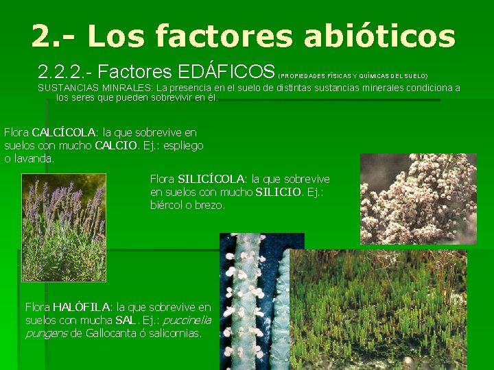 ECOLOGA 1 Definiciones ECOLOGA Y MEDIO AMBIENTE 2