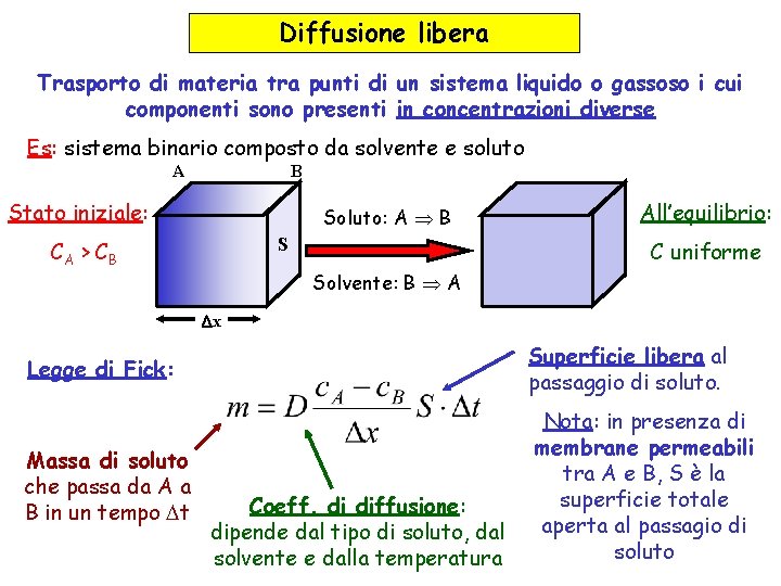 Temperatura La materia un sistema fisico a molti