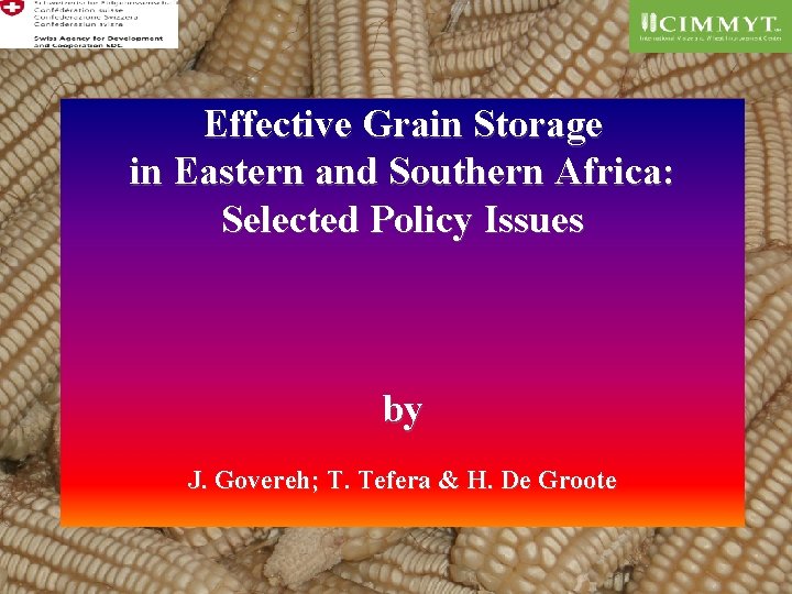 Effective Grain Storage in Eastern and Southern Africa