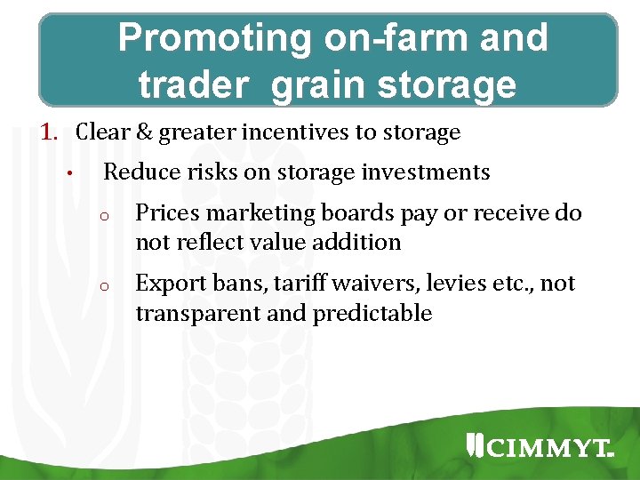 Effective Grain Storage in Eastern and Southern Africa