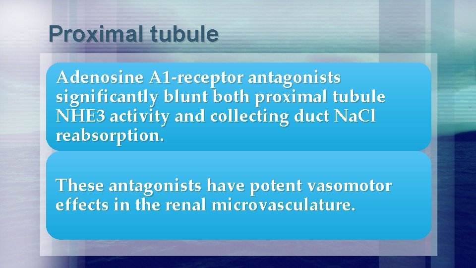Domina Petric MD RENAL TUBULE TRANSPORT MECHANISMS Segment