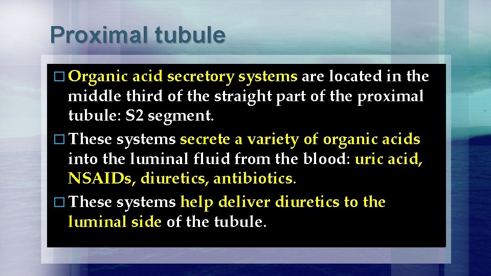 Domina Petric MD RENAL TUBULE TRANSPORT MECHANISMS Segment