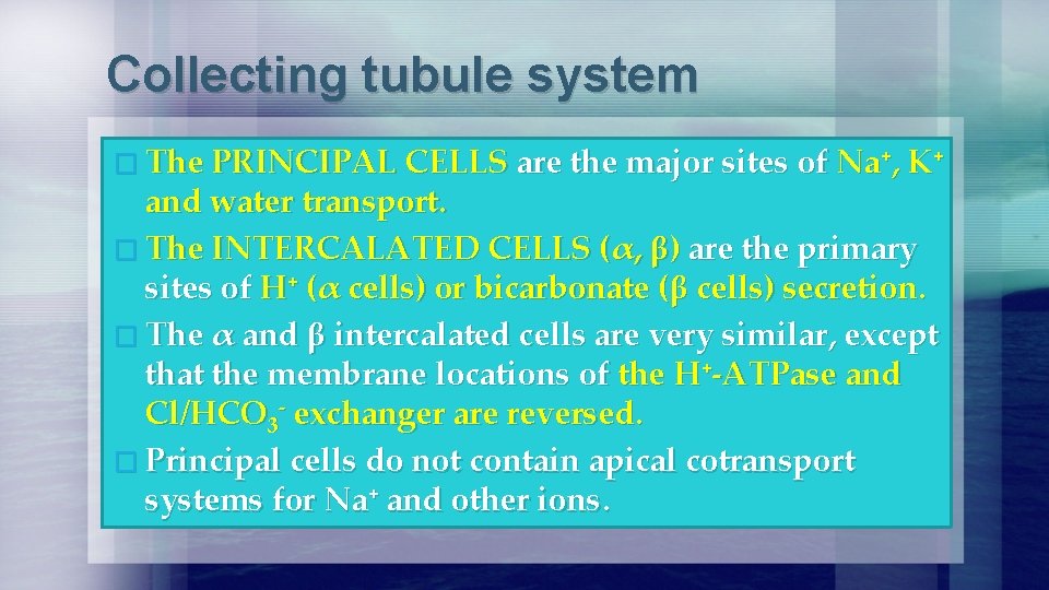 Domina Petric MD RENAL TUBULE TRANSPORT MECHANISMS Segment