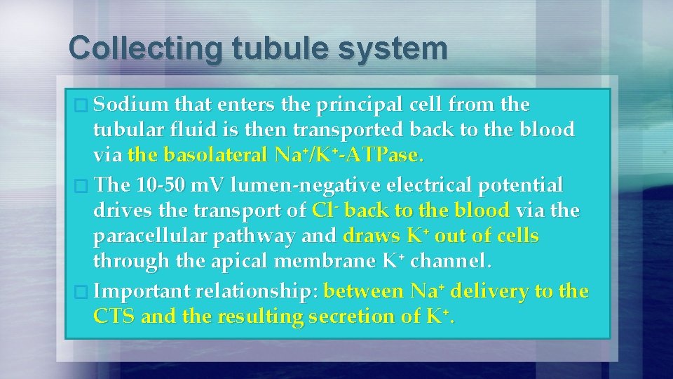 Domina Petric MD RENAL TUBULE TRANSPORT MECHANISMS Segment