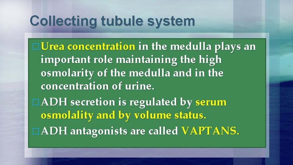 Domina Petric MD RENAL TUBULE TRANSPORT MECHANISMS Segment