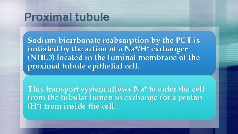 Domina Petric MD RENAL TUBULE TRANSPORT MECHANISMS Segment