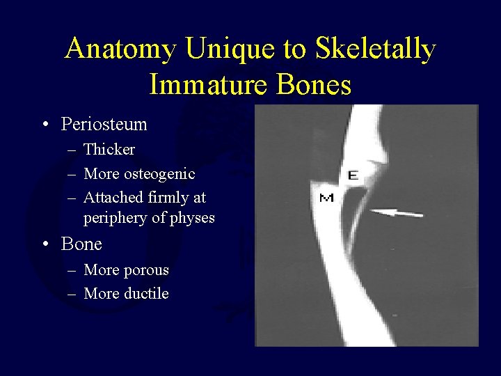 Basic Principles in the Assessment and Treatment of