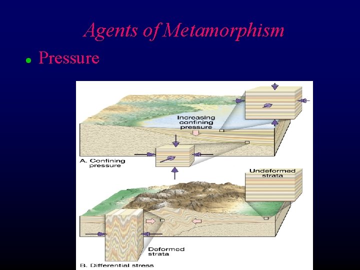 Metamorphic Rocks Metamorphic Rocks Metamorphism The transition of