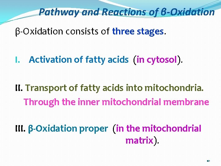 Metabolism of Lipids I Dr ANITHA 1 Introduction