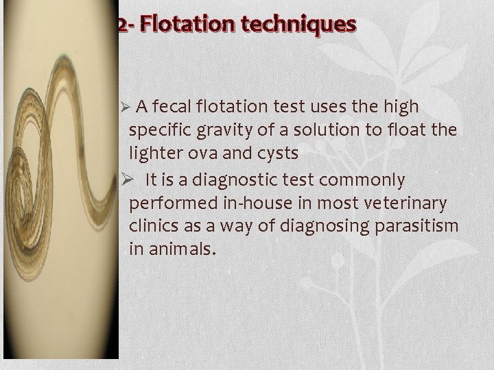 Concentration methods of fecal parasites Amal Almuhana 2012