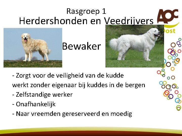 Rassen Les 2 Uitleg Rasgroepen en verdeling kattenrassen