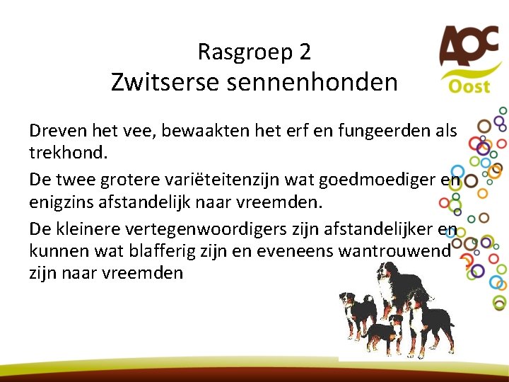 Rassen Les 2 Uitleg Rasgroepen en verdeling kattenrassen