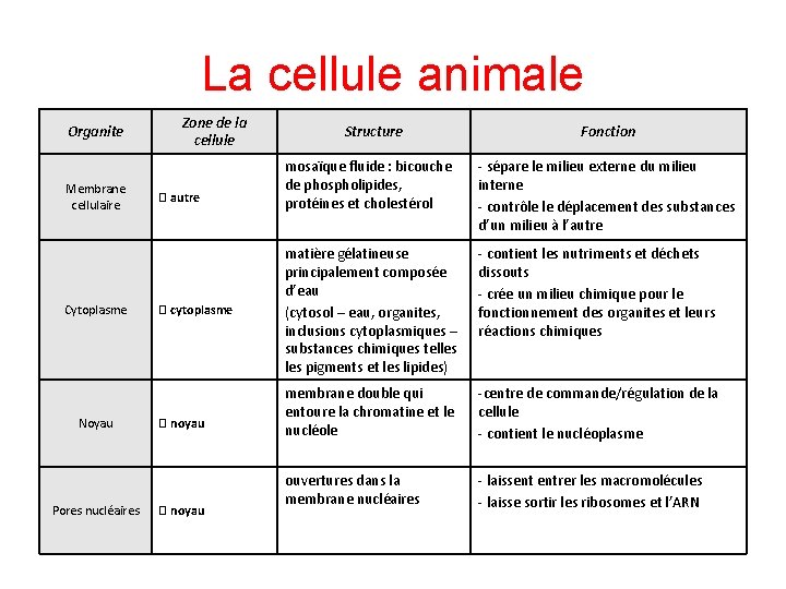 Les organites La cellule animale Organite Membrane cellulaire