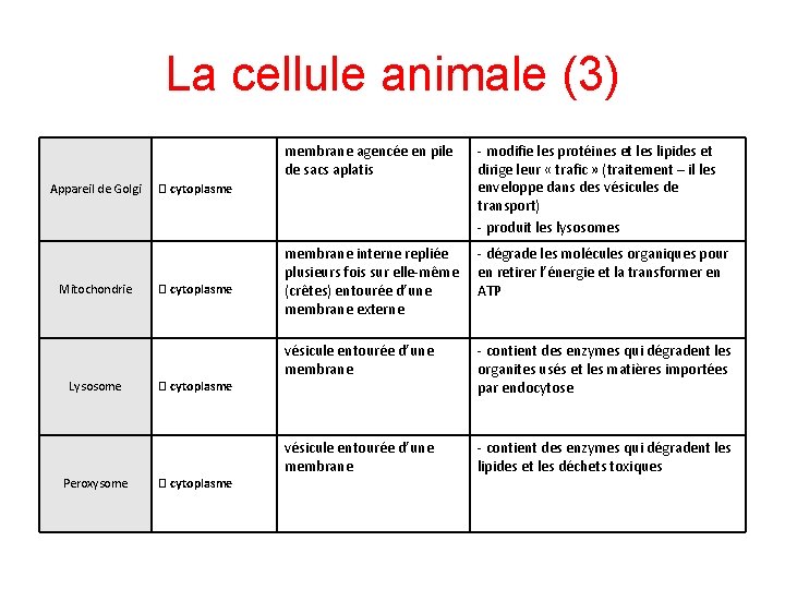 Les organites La cellule animale Organite Membrane cellulaire