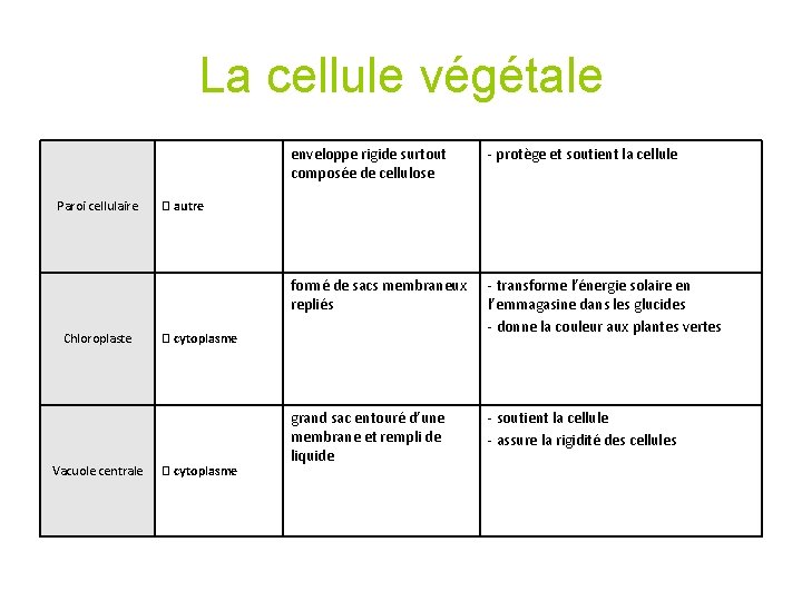 Les organites La cellule animale Organite Membrane cellulaire