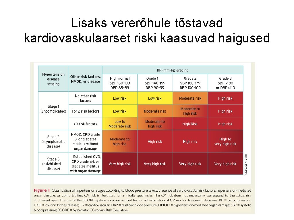 Kardioloogilised probleemid hematoloogilisel patsiendil 27 04 2019 Piret