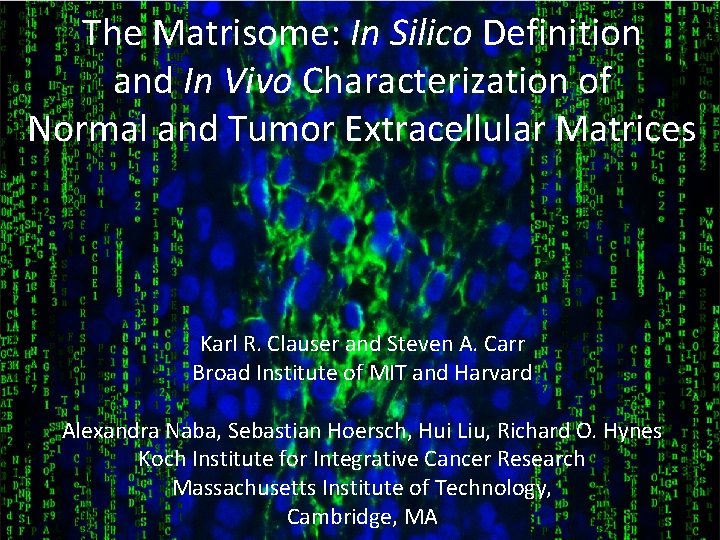 The Matrisome In Silico Definition and In Vivo