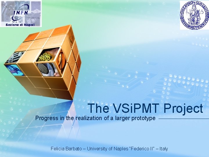 LOGO The VSi PMT Project Progress in the