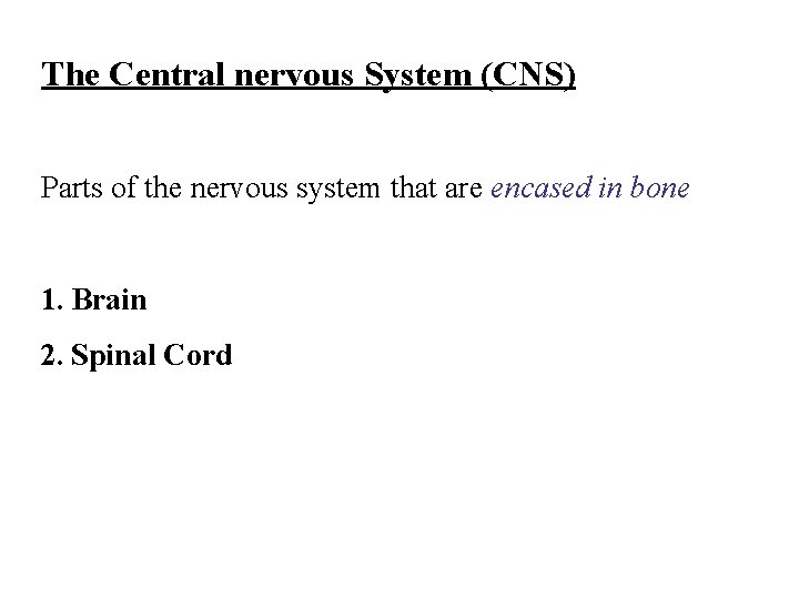 Structure of the Nervous System The Central nervous