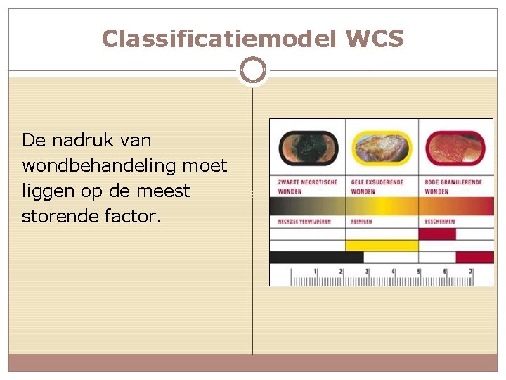 Wondverzorging Wondverzorging Doelen kennislijn Beschrijven van hoe een