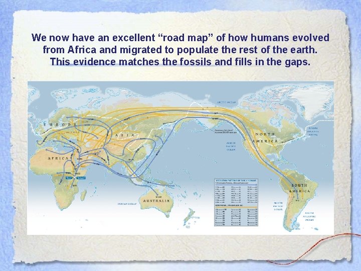Hominid Evolution On The Origin of Humans Questions