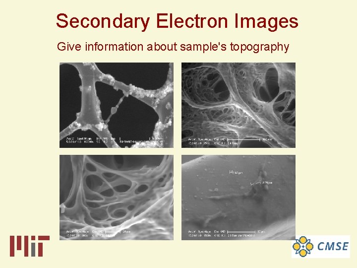 Scanning Electron Microscopy What is an SEM What