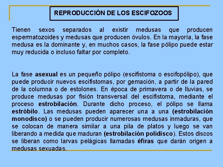 CNIDARIOS Fisiologa reproductiva y crecimiento CNIDARIOS ...