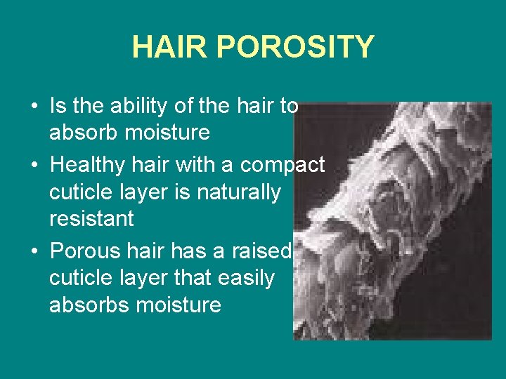 PROPERTIES OF THE HAIR AND SCALP What is