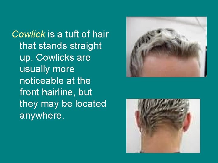 PROPERTIES OF THE HAIR AND SCALP What is