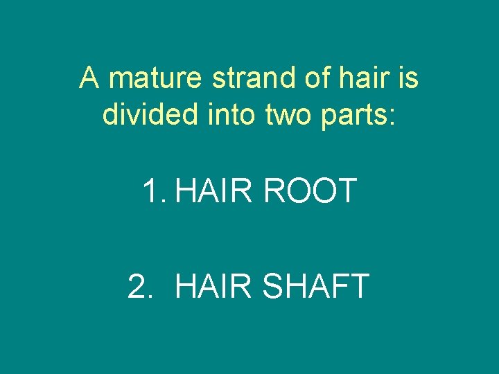 PROPERTIES OF THE HAIR AND SCALP What is