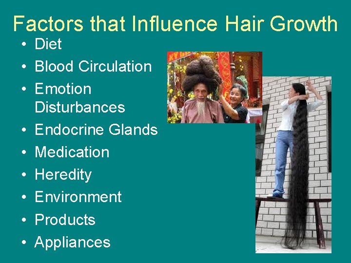 PROPERTIES OF THE HAIR AND SCALP What is