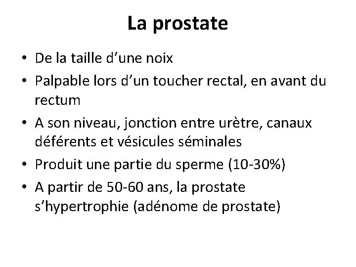ANATOMIE ET PHYSIOLOGIE URINAIRE ET NEPHROLOGIQUE PLAN 1