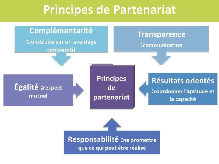 1 5 Travailler ensemble efficacement Principes de Partenariat