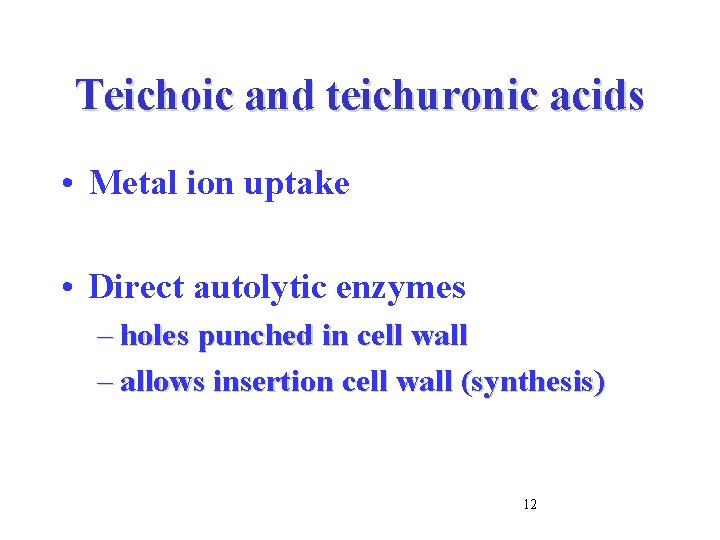 External layers of vegetative cells and spores Lecture