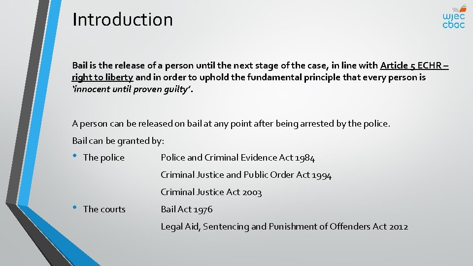 Rules and Theory of Criminal Law BAIL Objectives