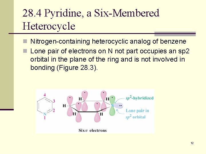 Chapter 28 Biomolecules Heterocycles and Nucleic Acids Based