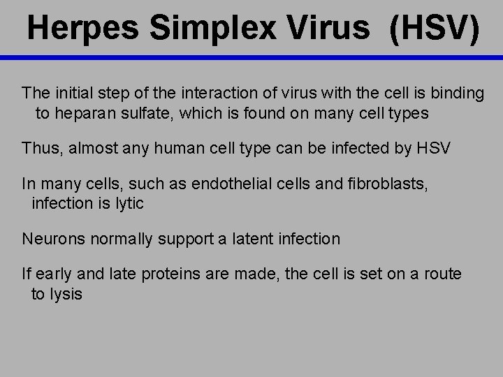 Med Chem 401 Herpesviridae Members of the herpesvirus