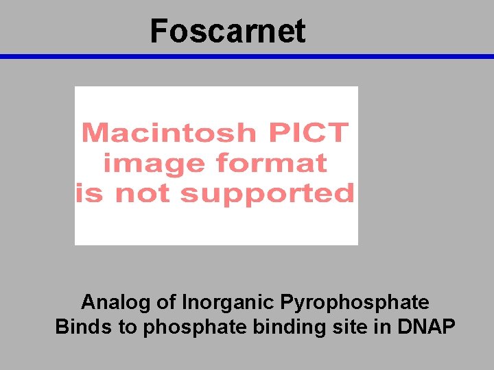 Med Chem 401 Herpesviridae Members of the herpesvirus