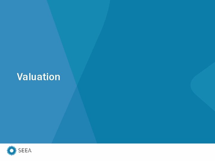 Overview of the SEEA Experimental Ecosystem Accounting Bram